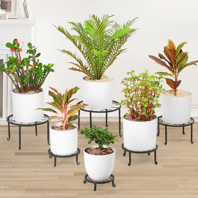 Office Plants and Pots: Transform Your Home & Office Today