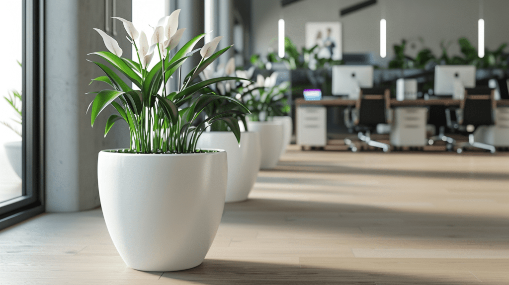 Office Plants and Pots: Transform Your Home & Office Today