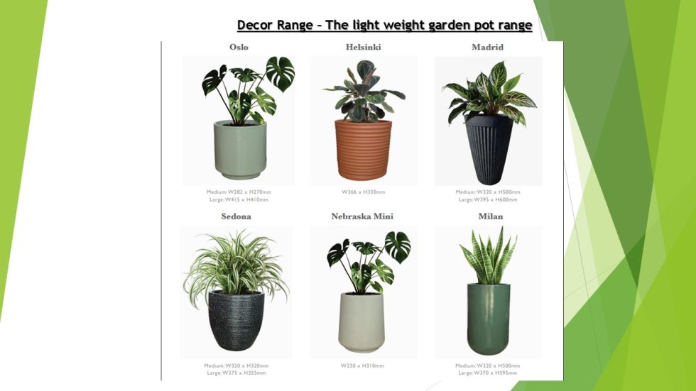Office Plants and Pots: Transform Your Home & Office Today